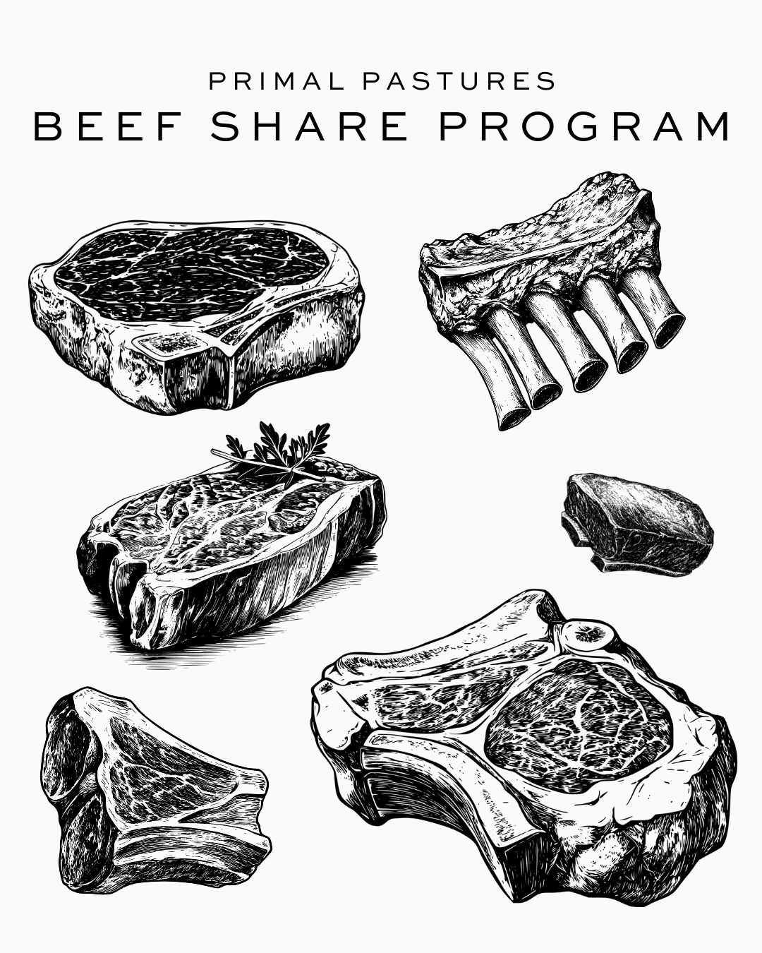 Bulk Beef Program *local pickup only* – Primal Pastures
