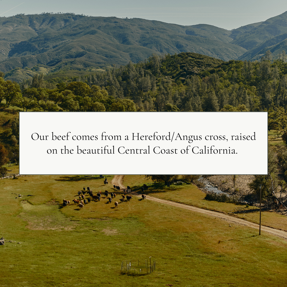 Bulk Beef Program *local pickup only* – Primal Pastures