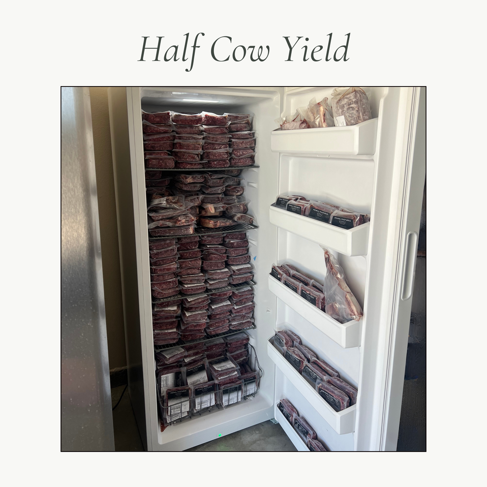 Bulk Beef Program *local pickup only* – Primal Pastures