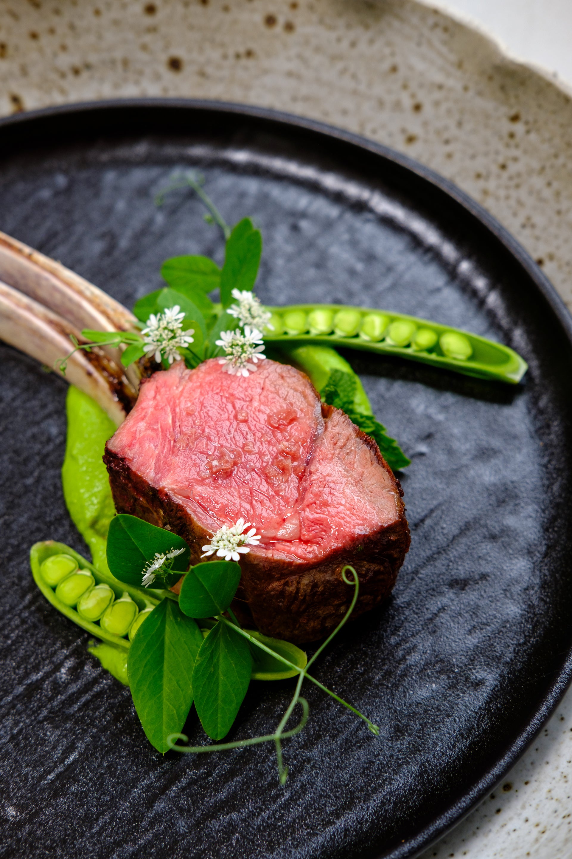 The Cleanest Grass Fed Meats in America - Primal Pastures