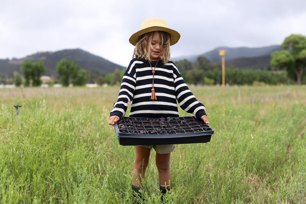 The Cleanest Grass Fed Meats in America - Primal Pastures